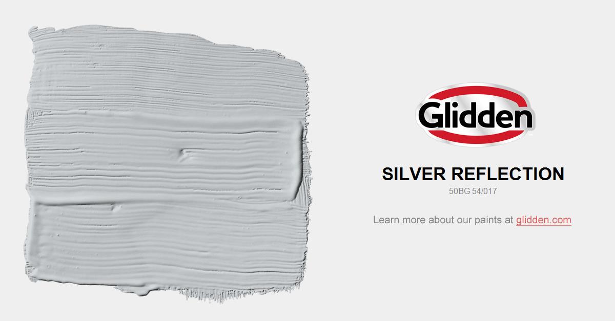 Silver Paint Reflection